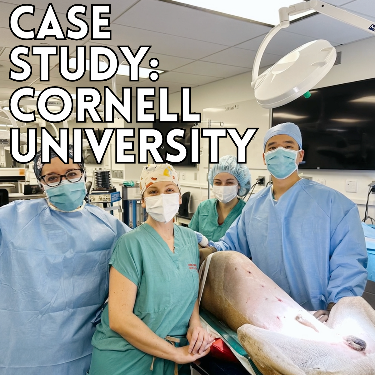 CASE STUDY: Cornell University College of Veterinary Medicine – R2 Surgical