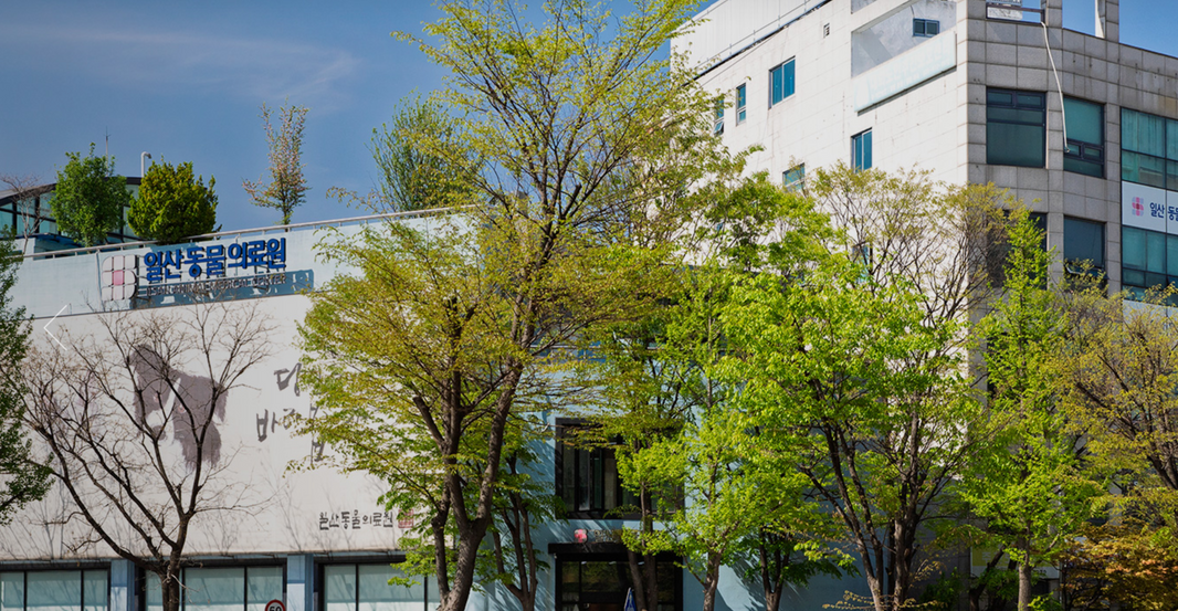 Exploring Robotic Aquablation Therapy with PROCEPT BioRobotics’ Hydros ...